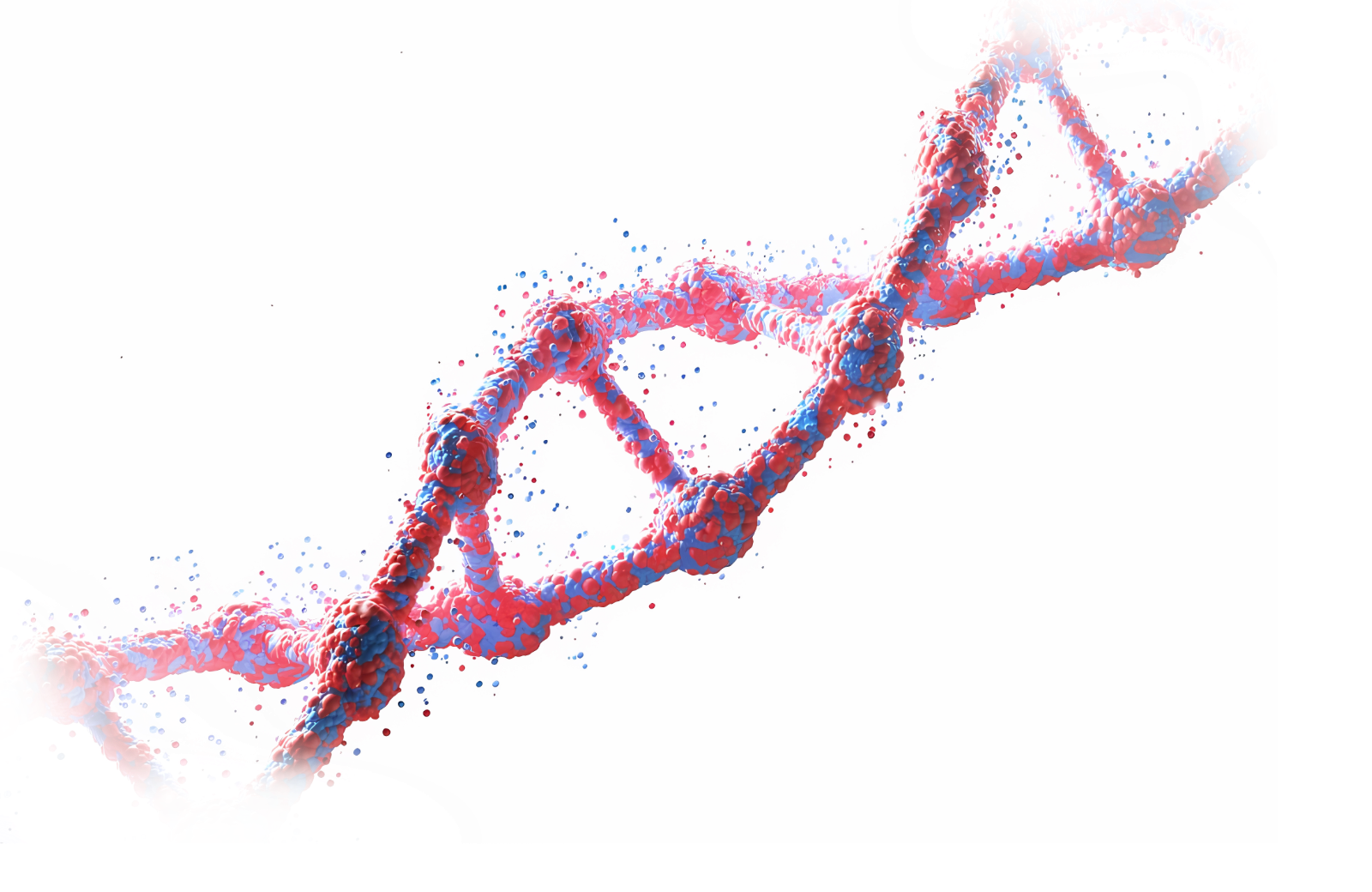 AAV QC 분석 서비스(AAV Analytical QC Services) | PackGene Biotech